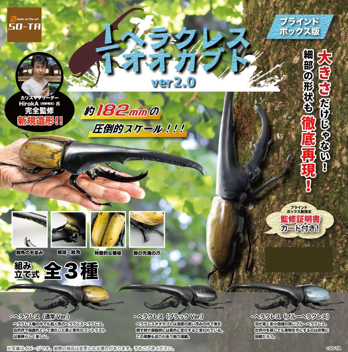 Supersize Your Beetles: The Ultimate Guide to Growing Giant Hercules ...