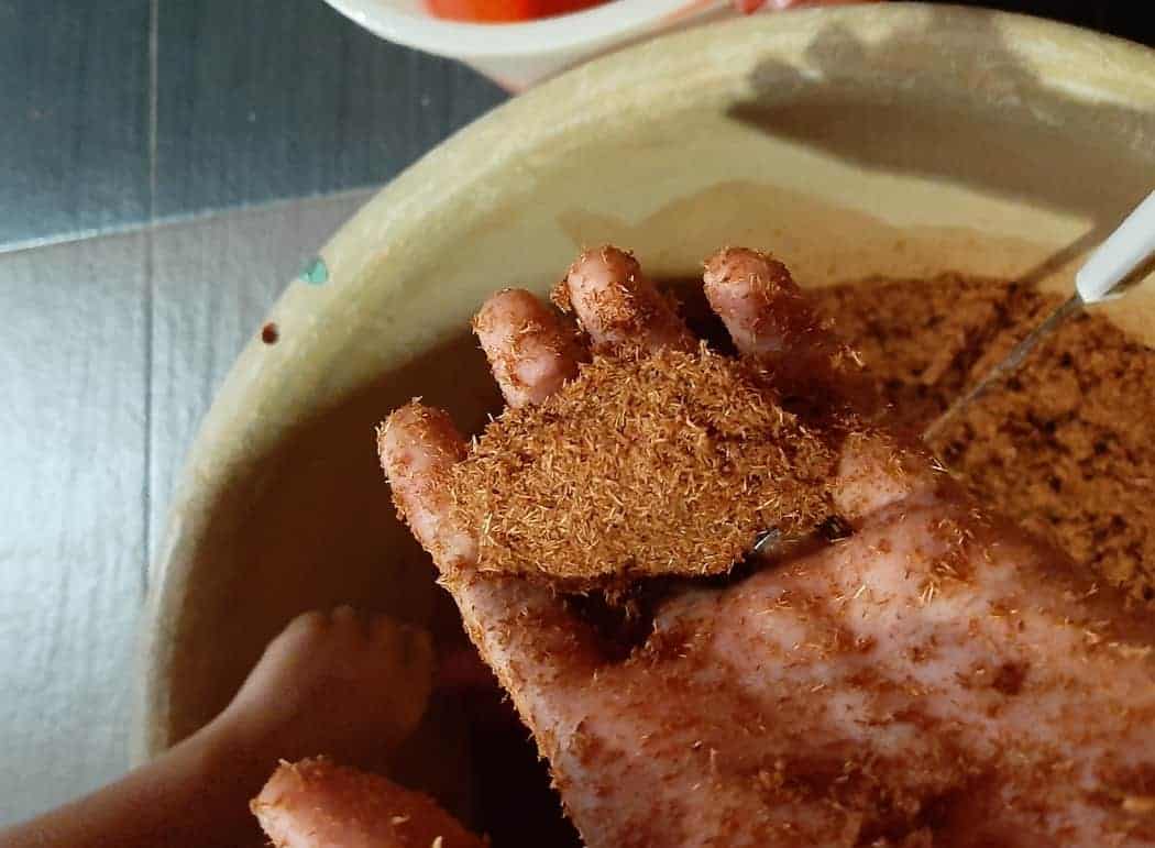 Secret Recipe: How to Make Flake Soil for Beetles