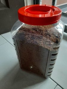 Ultimate Guide to Keeping Hercules Beetles Dynastes Hercules