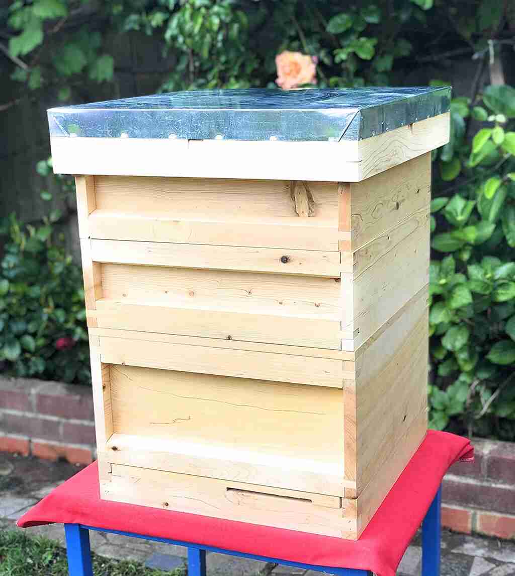 Best Modern Beehives for Backyard Beekeepers